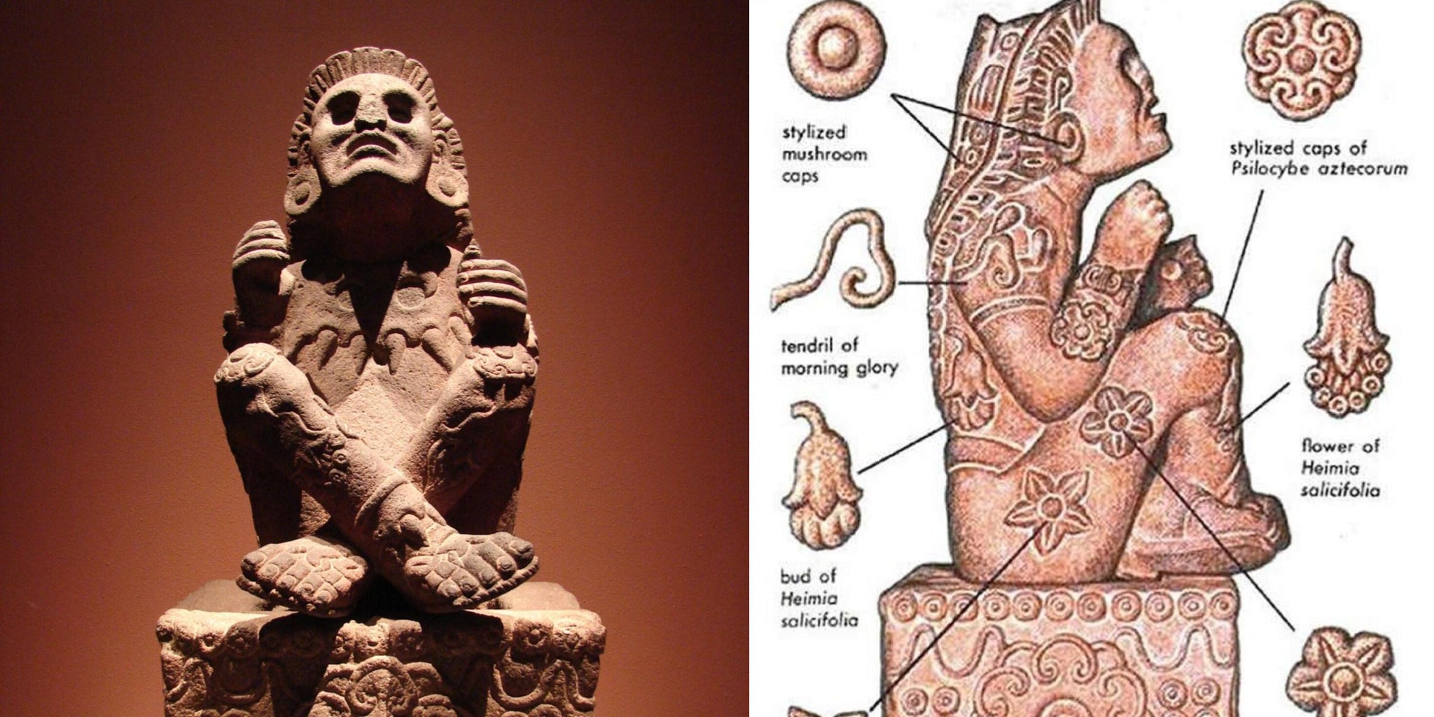Flowers and Faith: Introducing Xochipilli, the Aztec god of flowers
